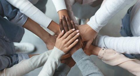 At The Apple Tree, we provide your children with a first-class early ...